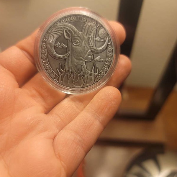 12 Adult Flipping Coins “heads You Win - Tails You Win” 8-gold 4-silver ...