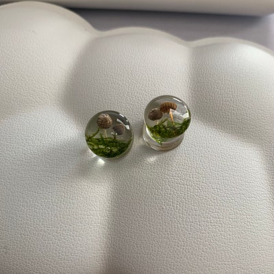 Natural Moss Mushroom Gauges, Real Plug, Mushroom Plug, Real Mushroom ...