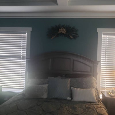 Dried Bunch of 100 Pencil Cattails Mini Cattails Shipping - Etsy