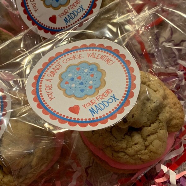 Valentines Day Stickers, You're a Smart Cookie, Boys Valentine Stickers ...