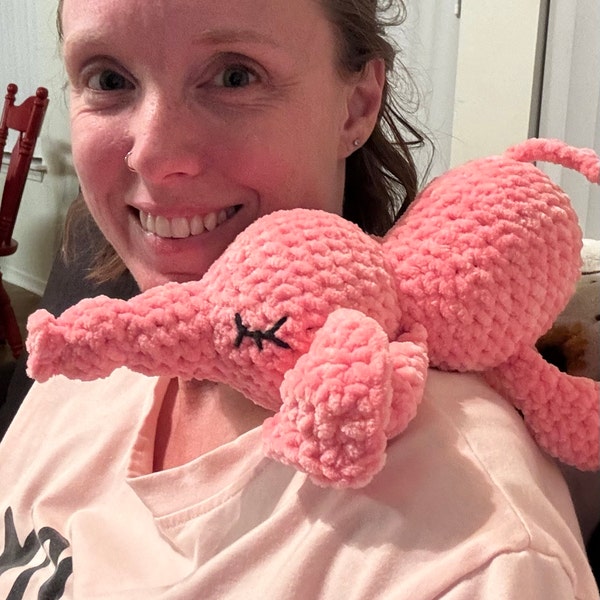 Alex the Acorn Buddy Crochet Pattern With Bonus Sunny the Sunflower Mod ...