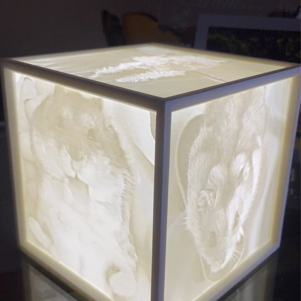 Lithophane Light Box - Etsy