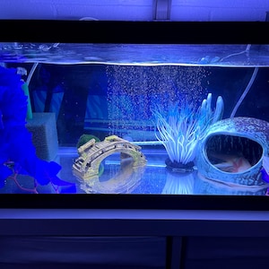 Galaxy Fish Cave MADE TO ORDER Ceramic Fish House Cute | Etsy