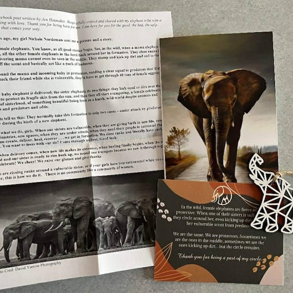 Elephant Friendship Gift, Elephant Ornament, Special Friend Keepsake ...