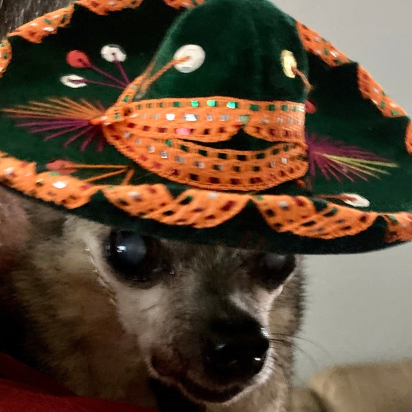Mexican Dog Hat / Mariachi Dog Hats / Mexican Sombreros for Dogs ...