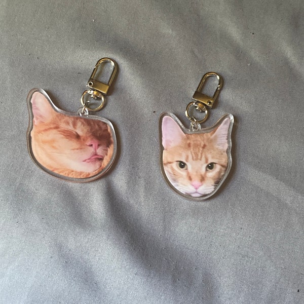 Custom Cat Keychain/keyring, Cat Portrait Keychain, Cat Loss Gift, Cat ...