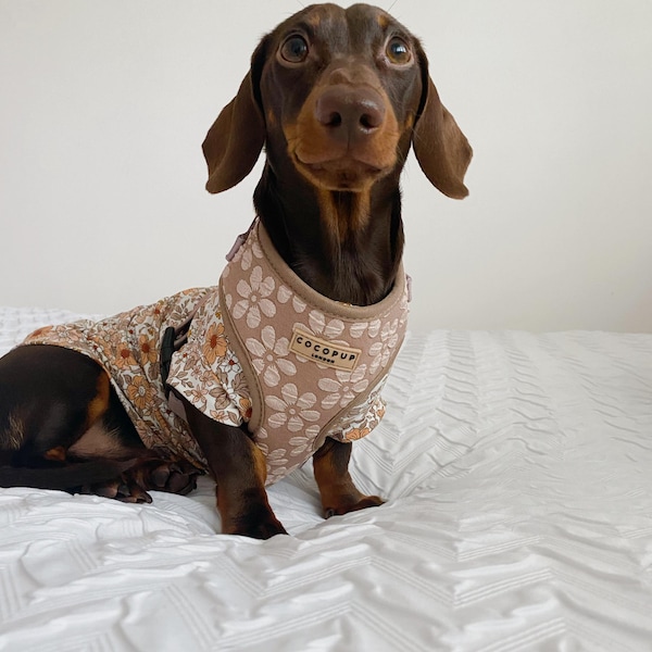 Lana Floral Dachshund/small Breed Jersey Tankie - Etsy
