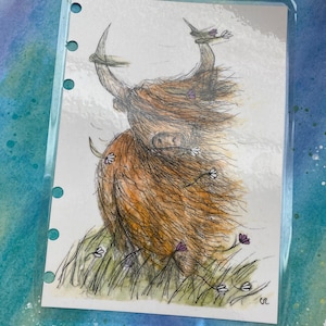 FIREFLY BEAR CART Adventure Card Illustration Illustrated - Etsy