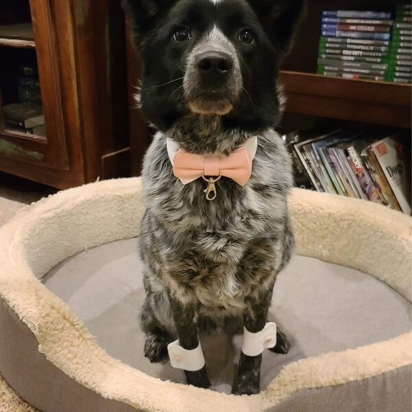 Dog Cuffs~non-slip Feature~dog Tuxedo~dog Cuffs With Satin Buttons to ...