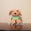 Crochet Cockapoo Pattern: Amigurumi Dog Tutorial (PDF Download) - Etsy