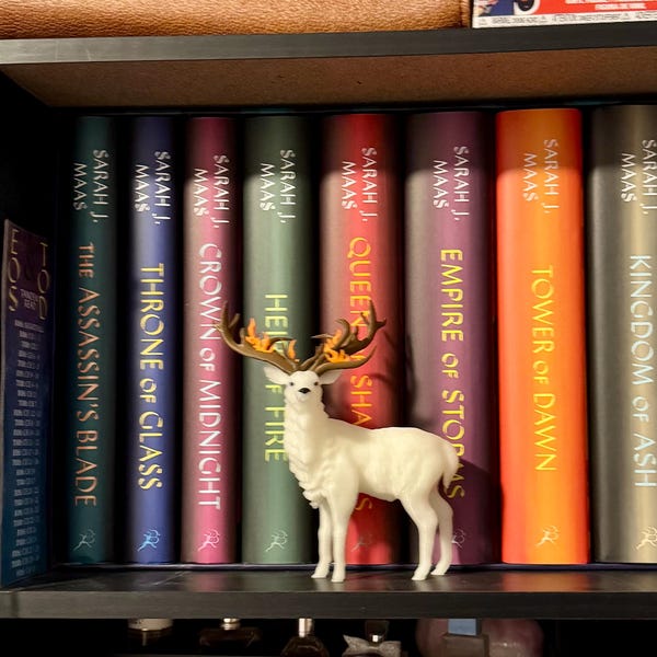 ASSEMBLED Book Nook| Acotar Inspired| Fantasy Books| Silver Flames| Bat ...