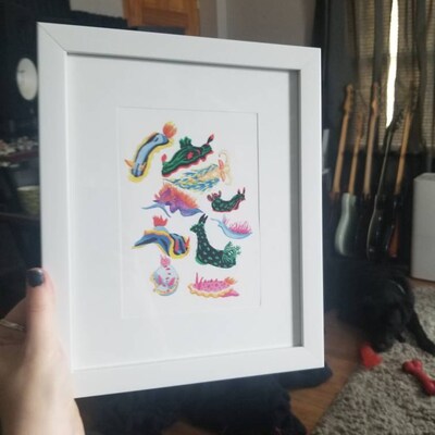 Jellyfish Atolla Vanhoeffeni Art Print / Hydrozoan / Bathypelagic ...