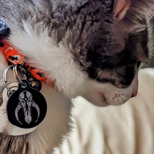 Predator Helmet Out of Cardboard TEMPLATES - Etsy