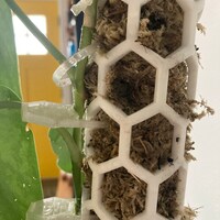 Propagation Pins - Moss Pole Pins - Allow a Little More Flair to Your ...