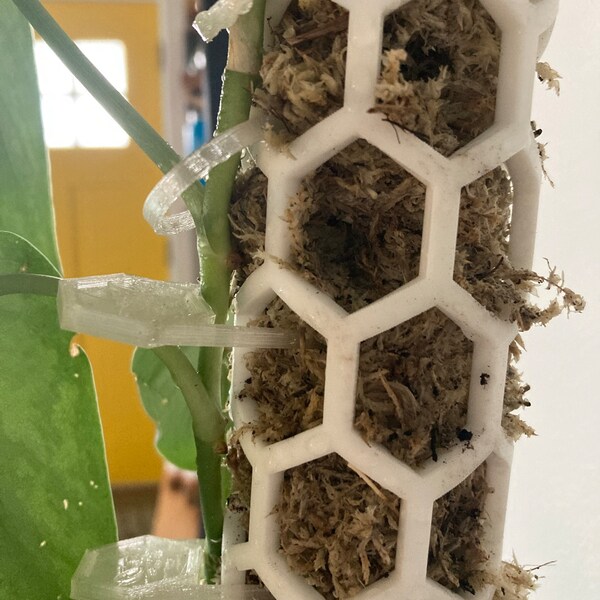 Propagation Pins - Moss Pole Pins - Allow a Little More Flair to Your ...