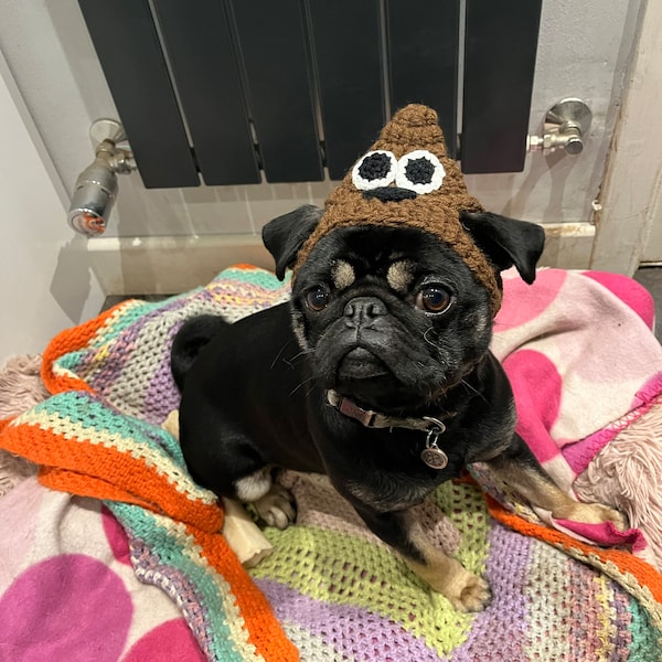 Crochet Flower Dog Hat; Flower Pug Hat; Hats for Dogs; Hats for Pugs ...