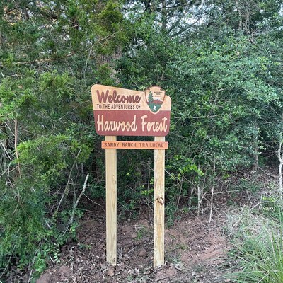 CAT X-ING Caution Sign, Hand Routed Cedar Wood Yard Sign, Cat Lovers ...