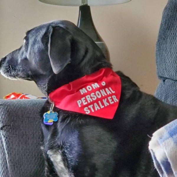 Funny Dog Bandana, Mom's Personal Stalker, Slides on Over the Collar ...