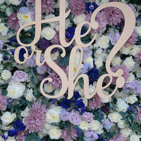 He or She Backdrop Wooden Sign, Gender Reveal Decor, Baby Shower Wood ...