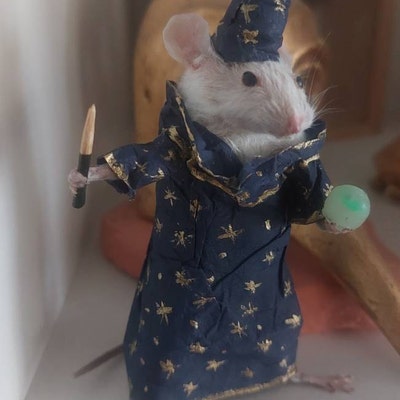 Taxidermy Rat Taxidermy Rat Mount Sculpture Hand Miniature - Etsy