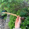 The Hobbit Bilbo's Pipe, Wooden Handmade Pipe, Bilbo Baggin's Pipe ...