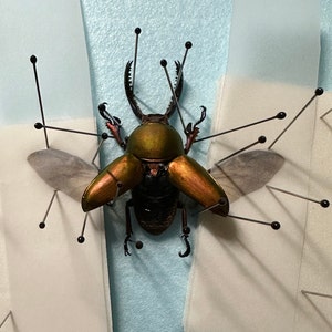 Stainless Steel Entomology Pins, for Insects and Butterflies - Etsy