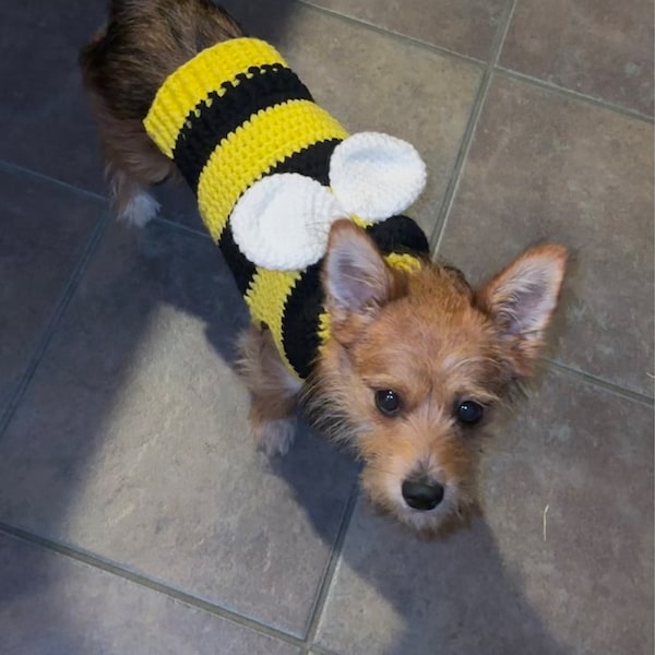 Bumblebee Dog Sweater / Halloween Costume Available in 4 Sizes - Etsy