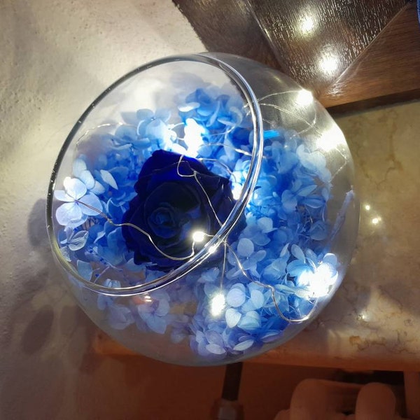 Christmas Bon Bon Snaps Crackers 28cm/11 Inches or 20cm/8 Inches Long ...