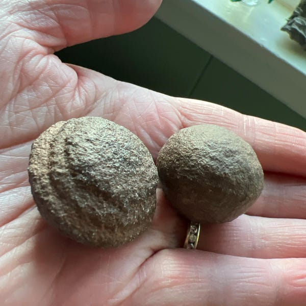 HUGE! COPPER Nugget or Native Copper Float 100% Natural Michigan 717gr ...