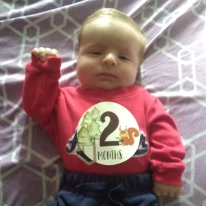 Baby Boy Rustic Month Stickers Boy Woodland Theme 1-12 Month | Etsy