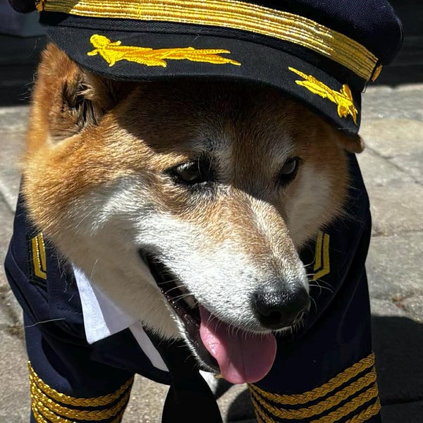 Custom Made Dog Cat Pet Pilot Captain Aviator Uniform Blazer Coat and ...