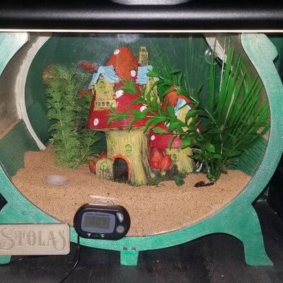 Jumping Spider Enclosure. Small Cauldron Acrylic Glass Enclosure for ...