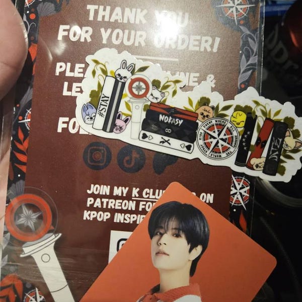 SKZ Bookshelf CLEAR Vinyl || Stray Kids Merch, SKZOO || Waterproof ...