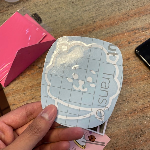 BTS Jin / Seokjin Holding Rj Inspired Weather / Scratch Proof Vinyl ...