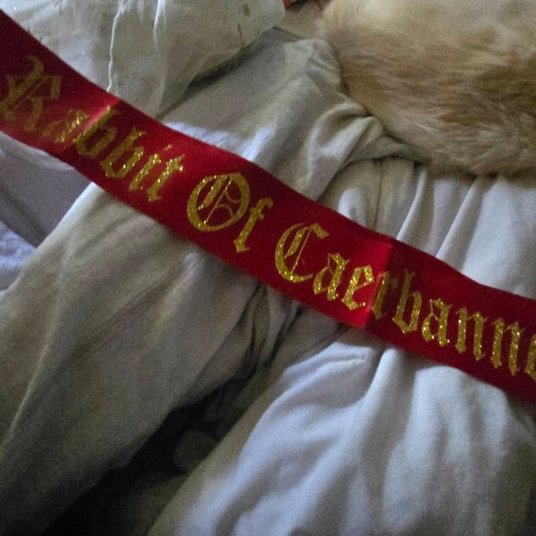 Mummy to Be Gothic Sash, Mom to Be Emo Sash, Custom Alternative Sash ...