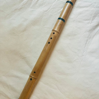Dragon Skin Native American Style Bamboo Flute in the Key of C. Ethnic ...