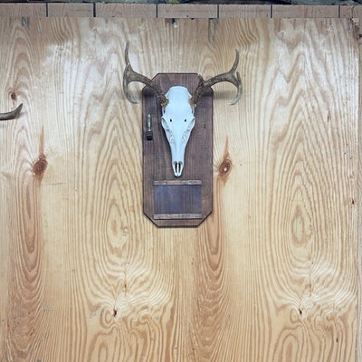 White 11 X 14 Gun Case/picture Frame - Etsy