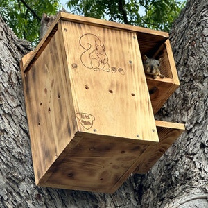 Squirrel Nesting Box, Wildlife Rehab Approved, Eastern Gray Squirrel ...