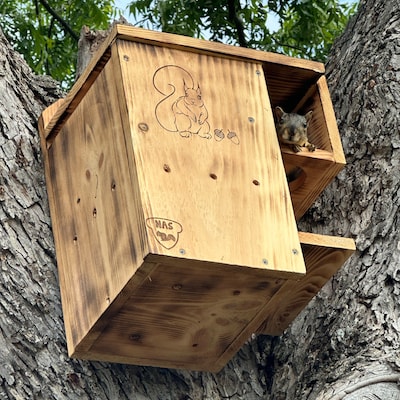 Squirrel Nesting Box, Wildlife Rehab Approved, Eastern Gray Squirrel ...