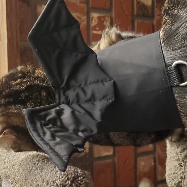 Total Black Harness With Removable Bat Wings for Halloween. Difficult ...