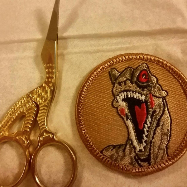 Dinosaur / Raptor Patch (341) 2 Inch Diameter Embroidered Patch - Etsy