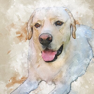 Dog Memorial, in Loving Memory, Dog Sympathy Gift, Puppy Tribute, Pet ...