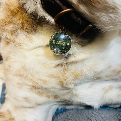 Olive Green Resin Pet ID Tag Resin, Olive Green, Dog Tag - Etsy