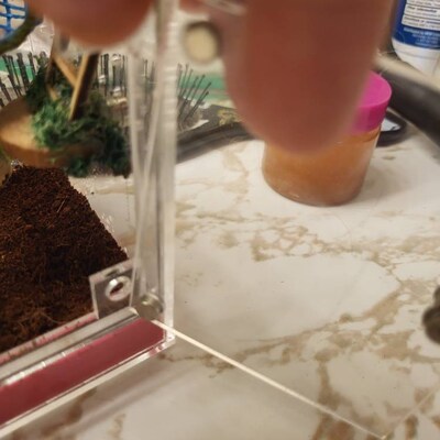 Mini Jumping Spider Enclosure Crystal Clear Jumping Spider House Easy ...