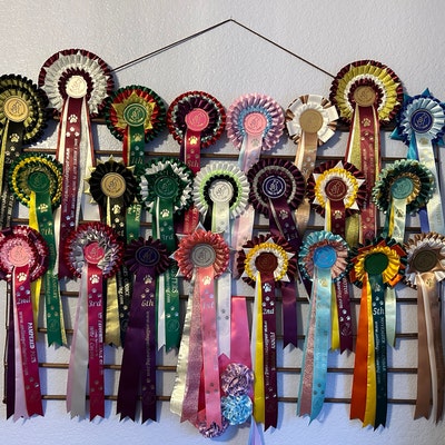 4-H FFA Ribbon Holder Display Award Rack Dog Show Ribbon Holder Award ...