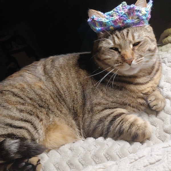 Crochet Pet Crown Pattern - PDF Crochet Pattern - Makes Crown / Tiara ...