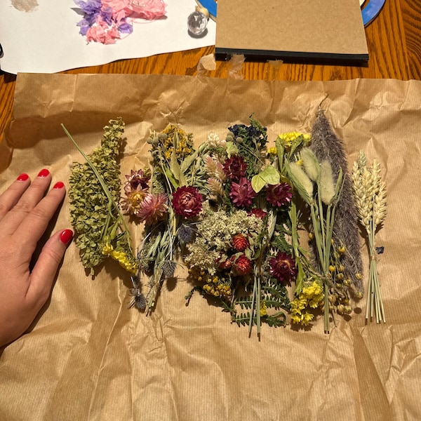 Natural Dried Flowers Mix Craft Boxes, Preserved Dry Botanical Supplies ...