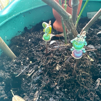 Mini Frog Plant Stake - Etsy