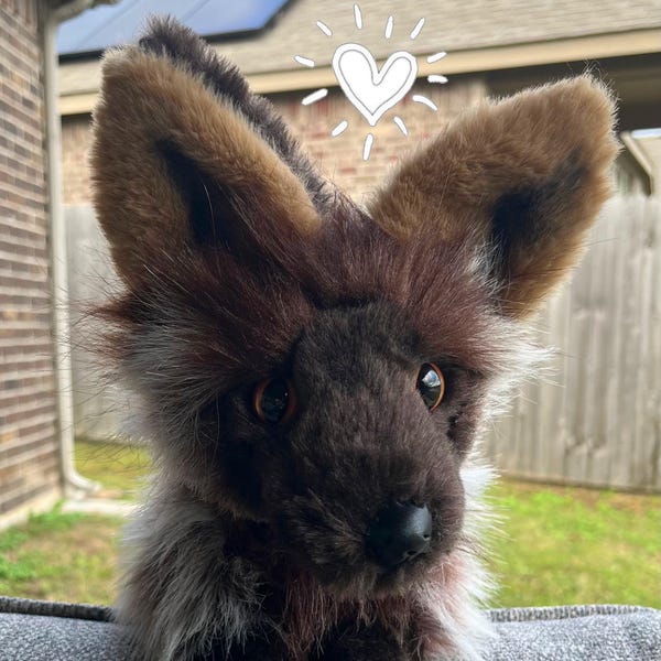 Made to Order NOT in Stock Life-size Common Genet Plush Made of Luxury ...