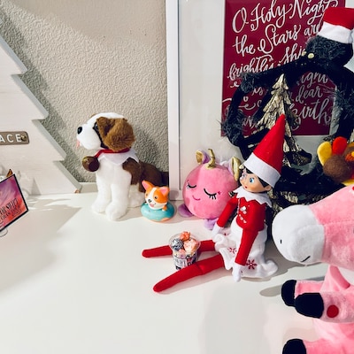 24 Day Elf Kit, Elf Kit for 24 Days of Fun, Shipping Now, Elf Props ...